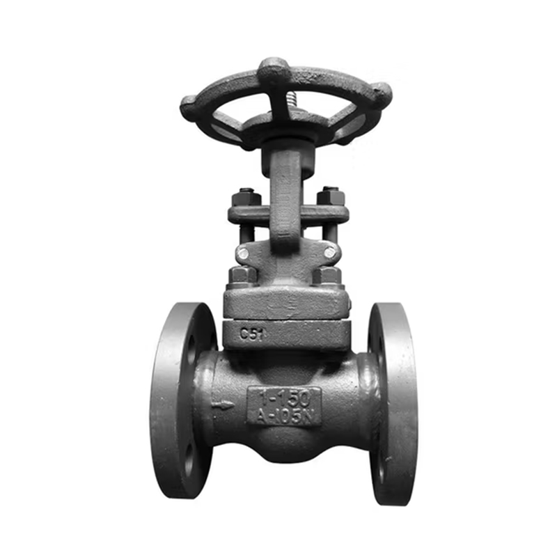 Forged Globe Valve-Welkin New Energy Material Co..ltd