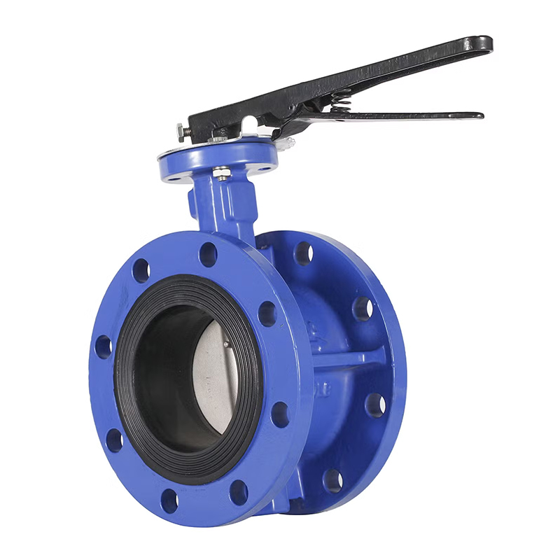 Flange Type Concentric Butterfly Valve-Welkin New Energy Material Co..ltd